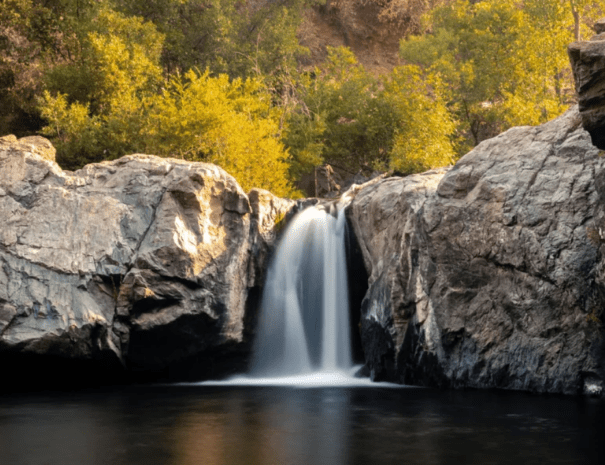 Stanislaus National Forest Info